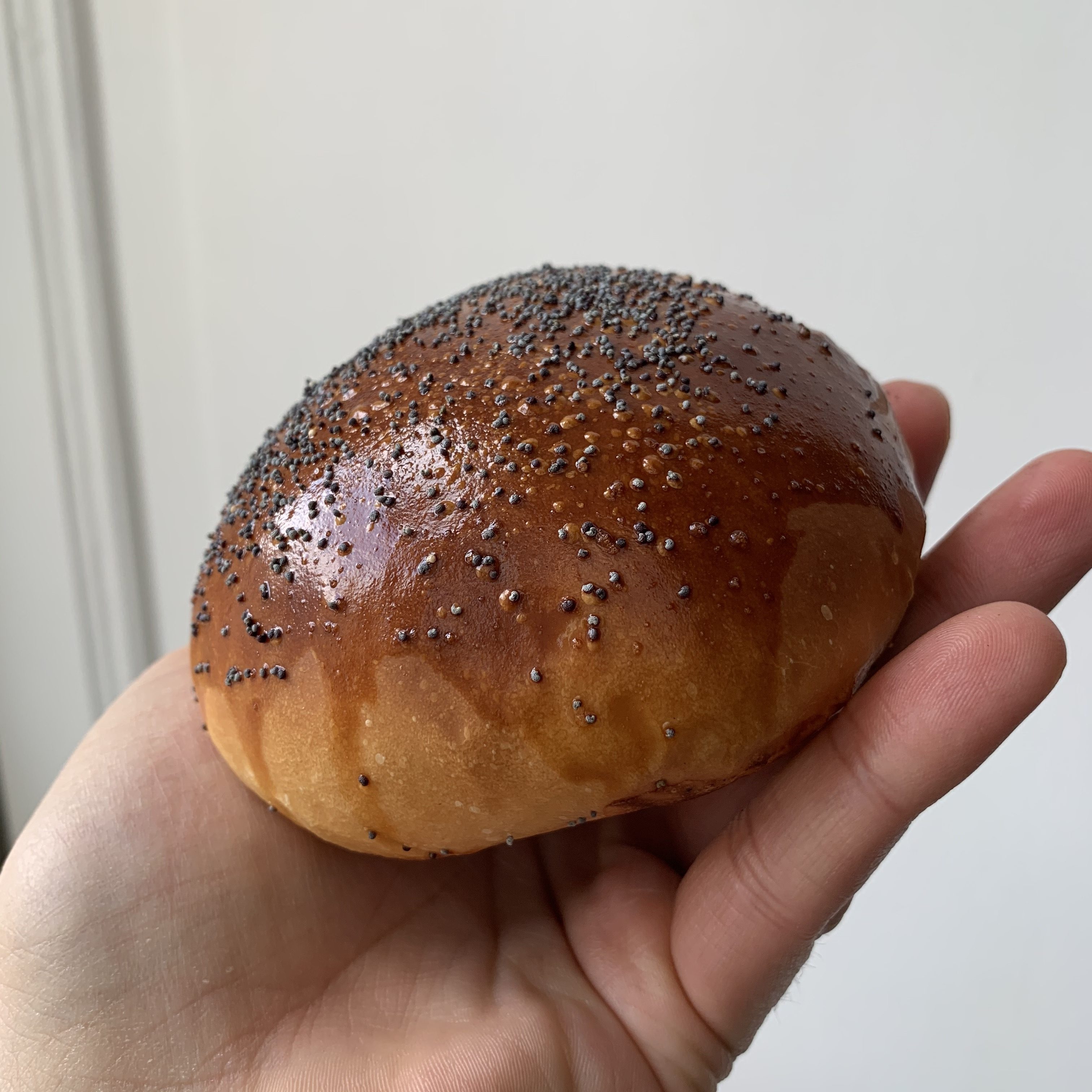 Bun artigianale - inGordo